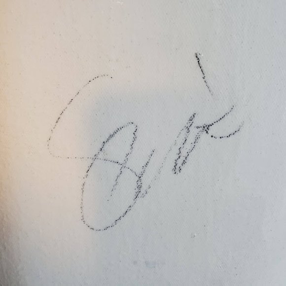 Susan Painter Pottery | Dining | Vtg Susan Painter Pottery Tropical ...